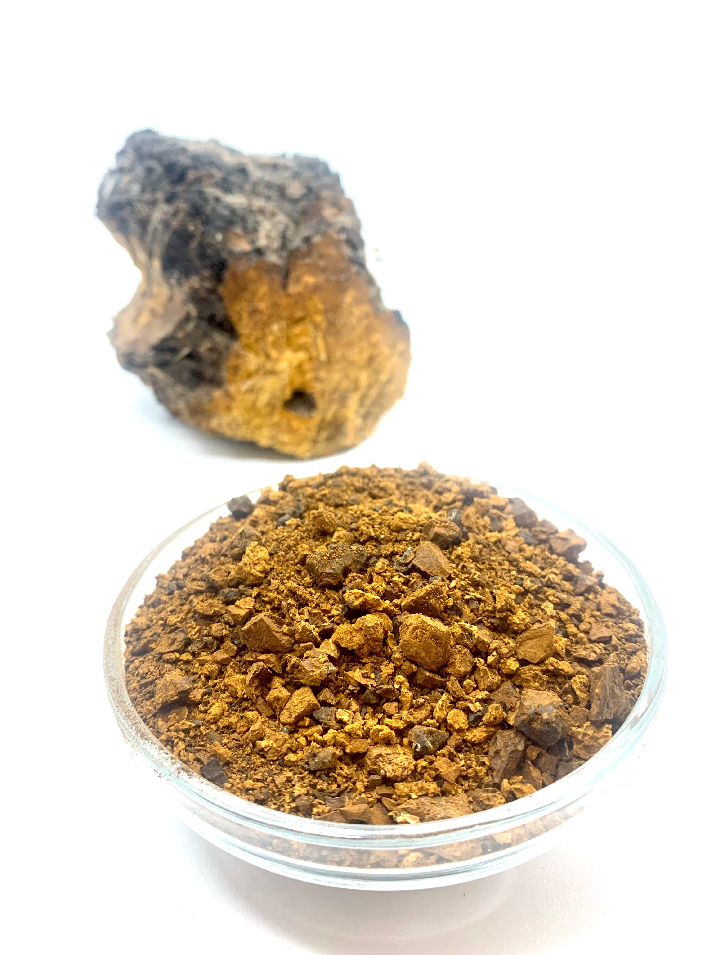Wildcrafted Maine Chaga - loose ground 8oz – The Wild Pine Co.